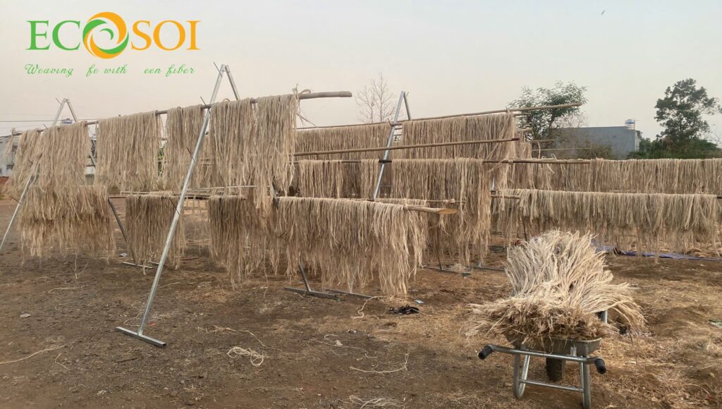 Banana fiber fabric: an eco-friendly solution and its applications ...