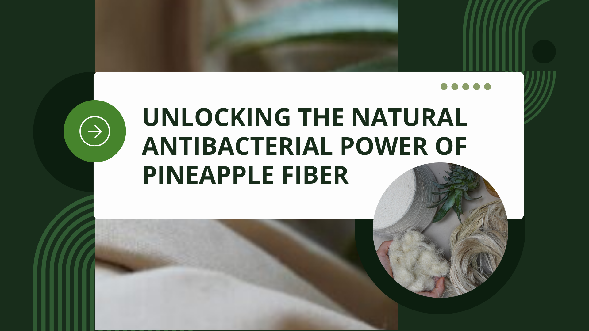 Explore the natural antibacterial power of pineapple fiber - ECOSOI ...