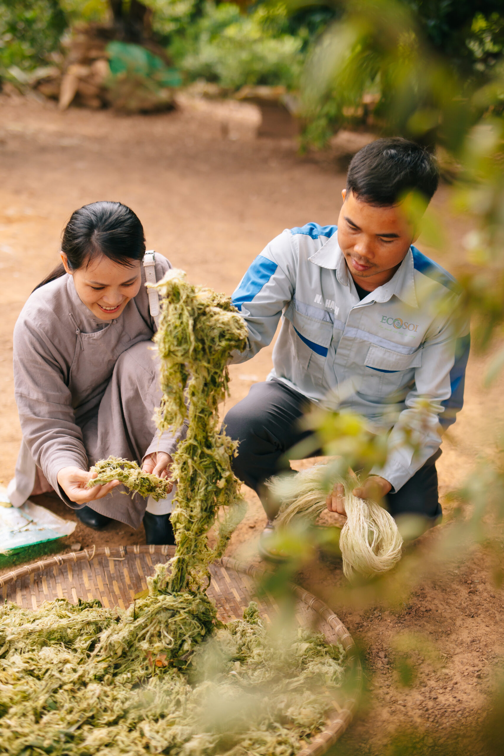 PINEAPPLE LEAF FIBER – A SUSTAINABLE ALTERNATIVE TO SYNTHETIC FIBERS ...