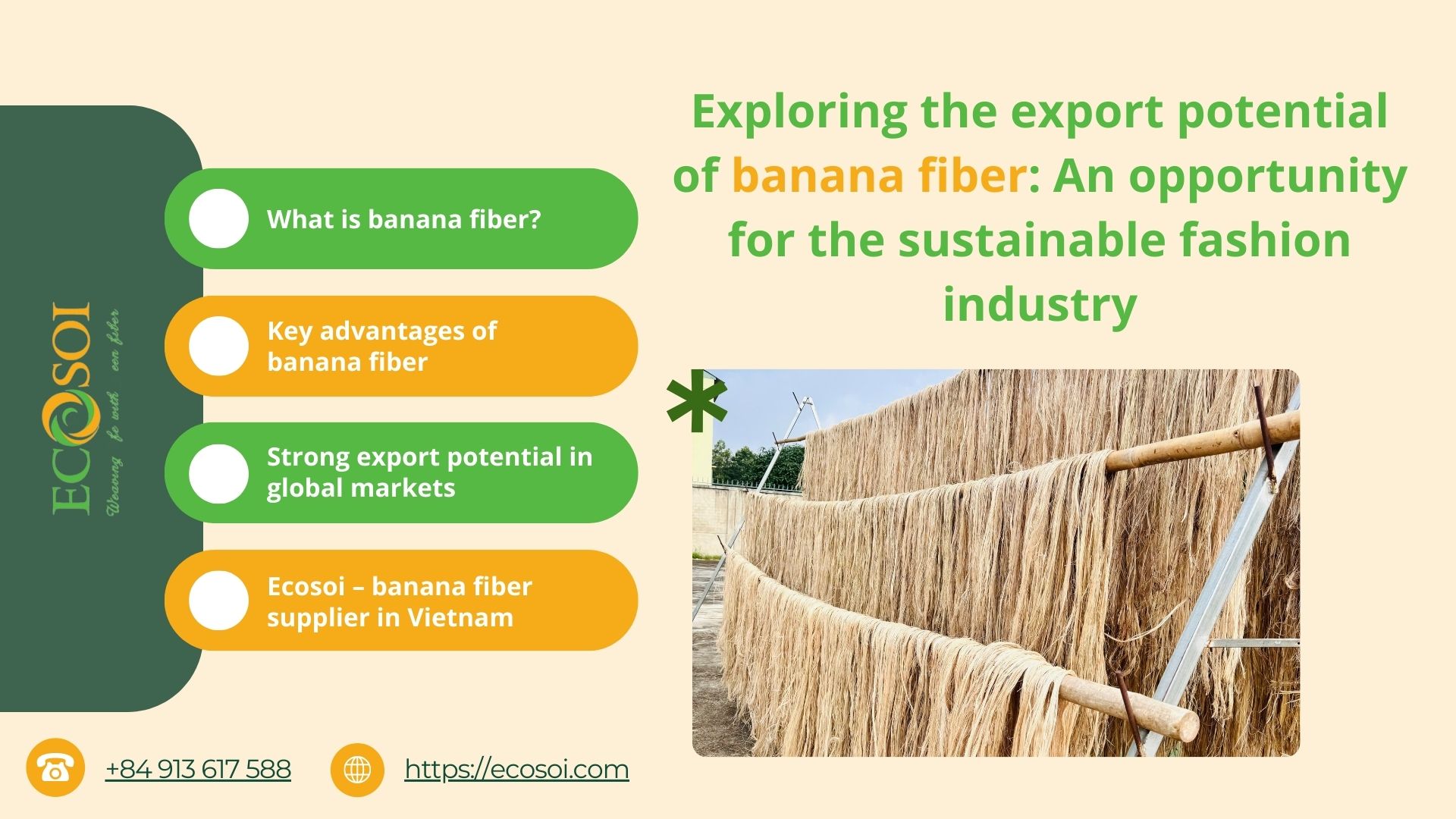 Exploring the export potential of banana fiber: An opportunity for the ...