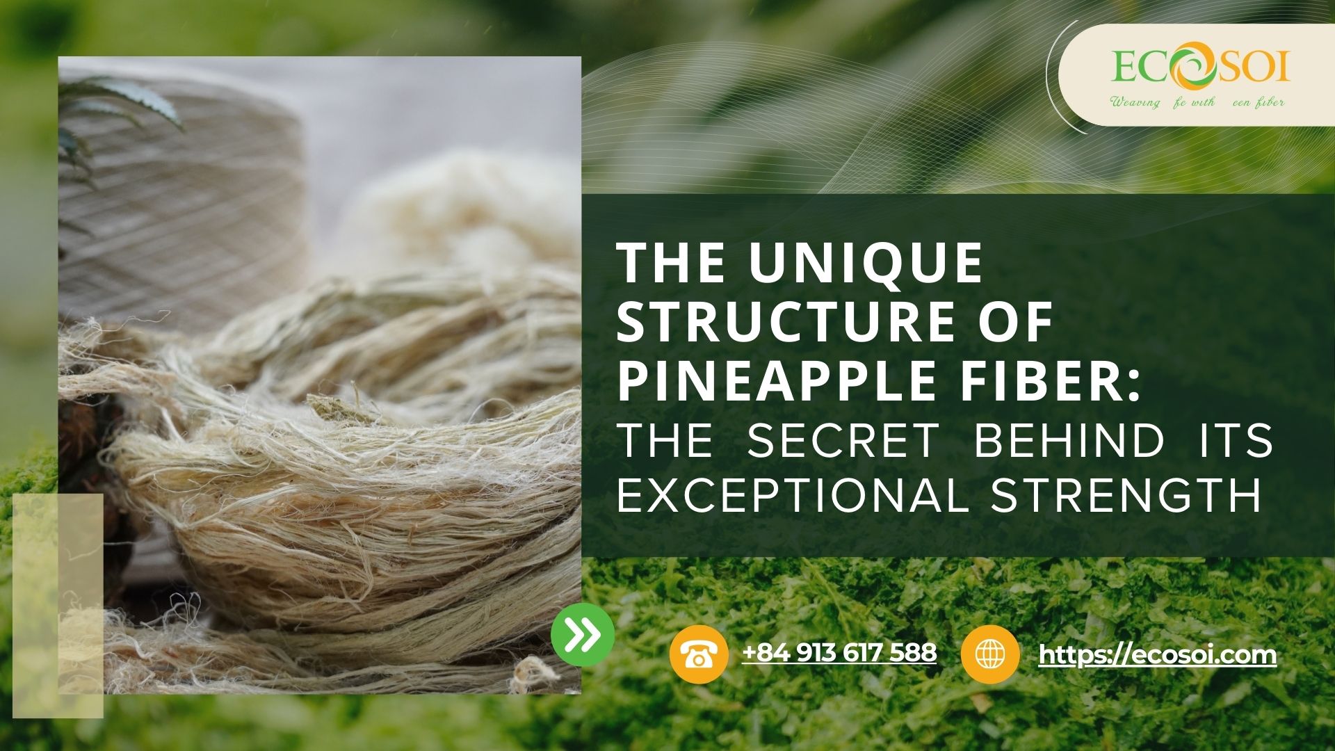 The unique structure of pineapple fiber: The secret behind its ...