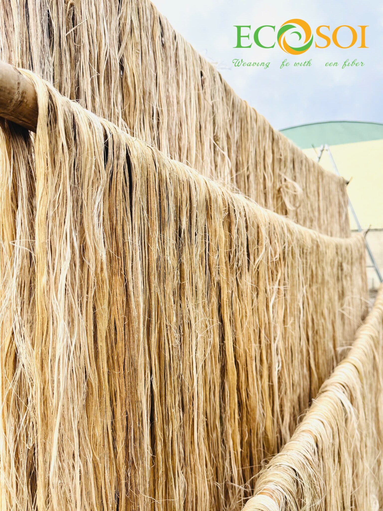 Banana fiber production process – A sustainable material solution for ...