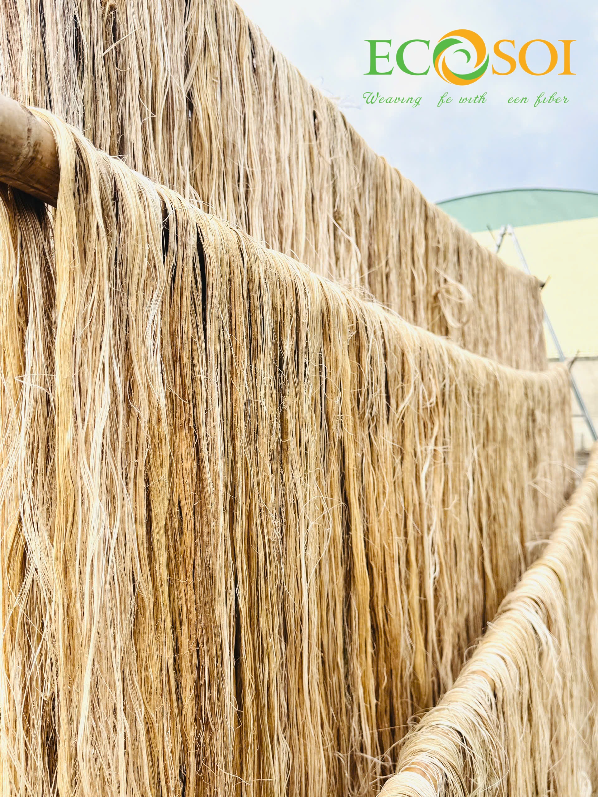 Banana fiber production process – A sustainable material solution for ...