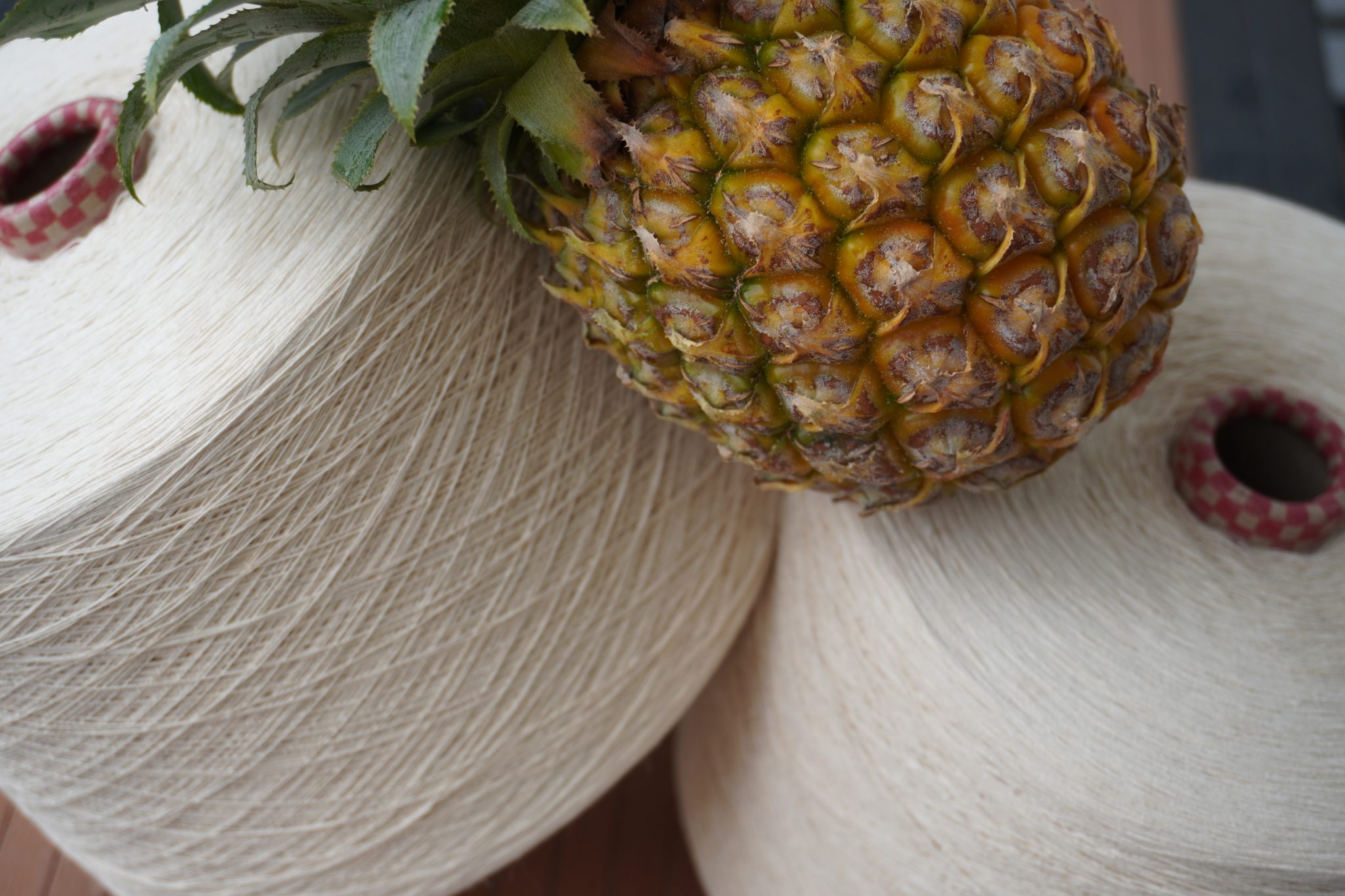 How to Spot a High-Quality Pineapple Fiber Batch - ECOSOI - Weaving ...